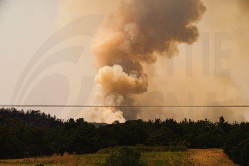 Υπό πλήρη έλεγχο τέθηκε δασική πυρκαγιά στα Πυργά της Επαρχίας Λάρνακας ...
